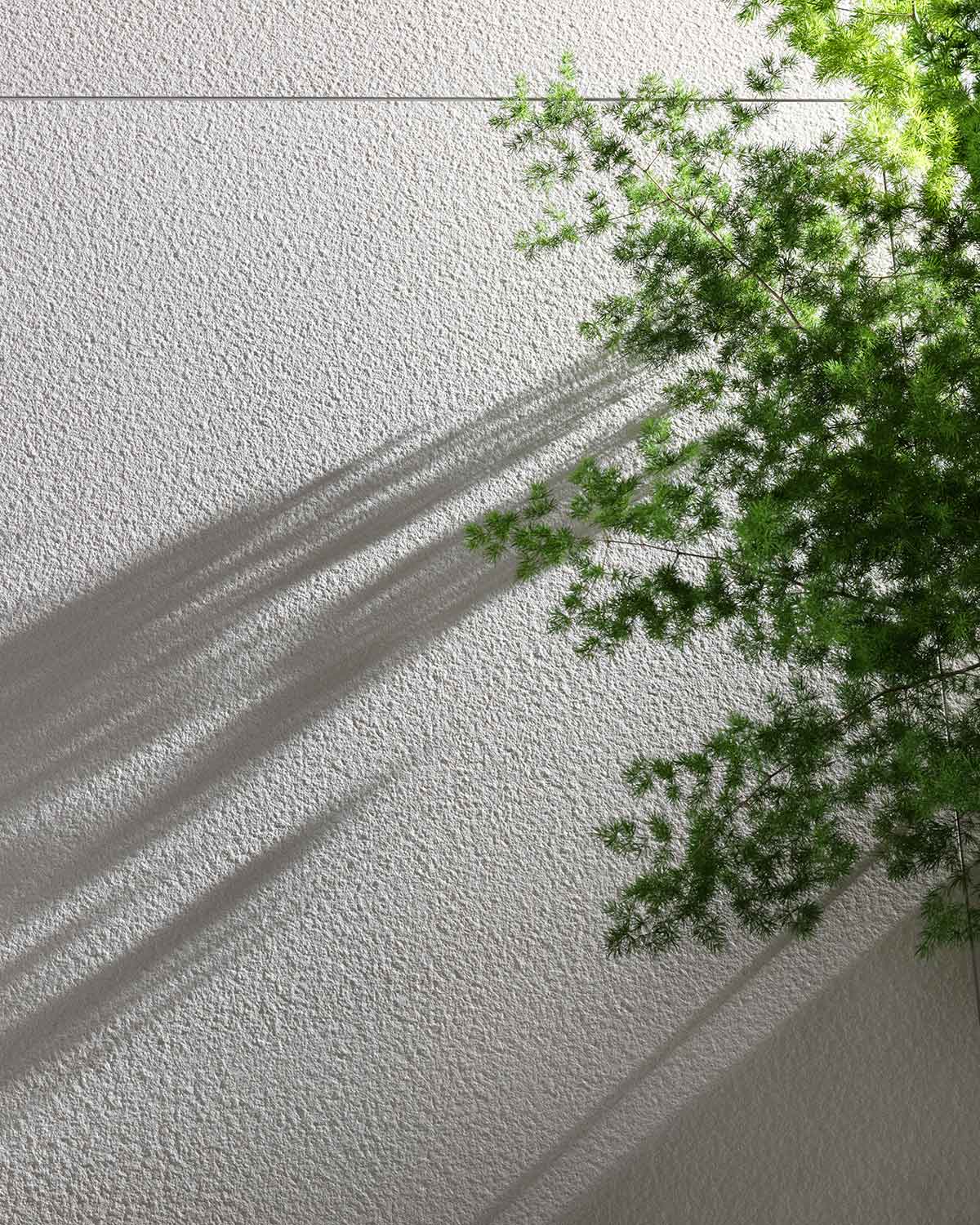 Domus - Tiles, Stone, Wood & Engineered Flooring