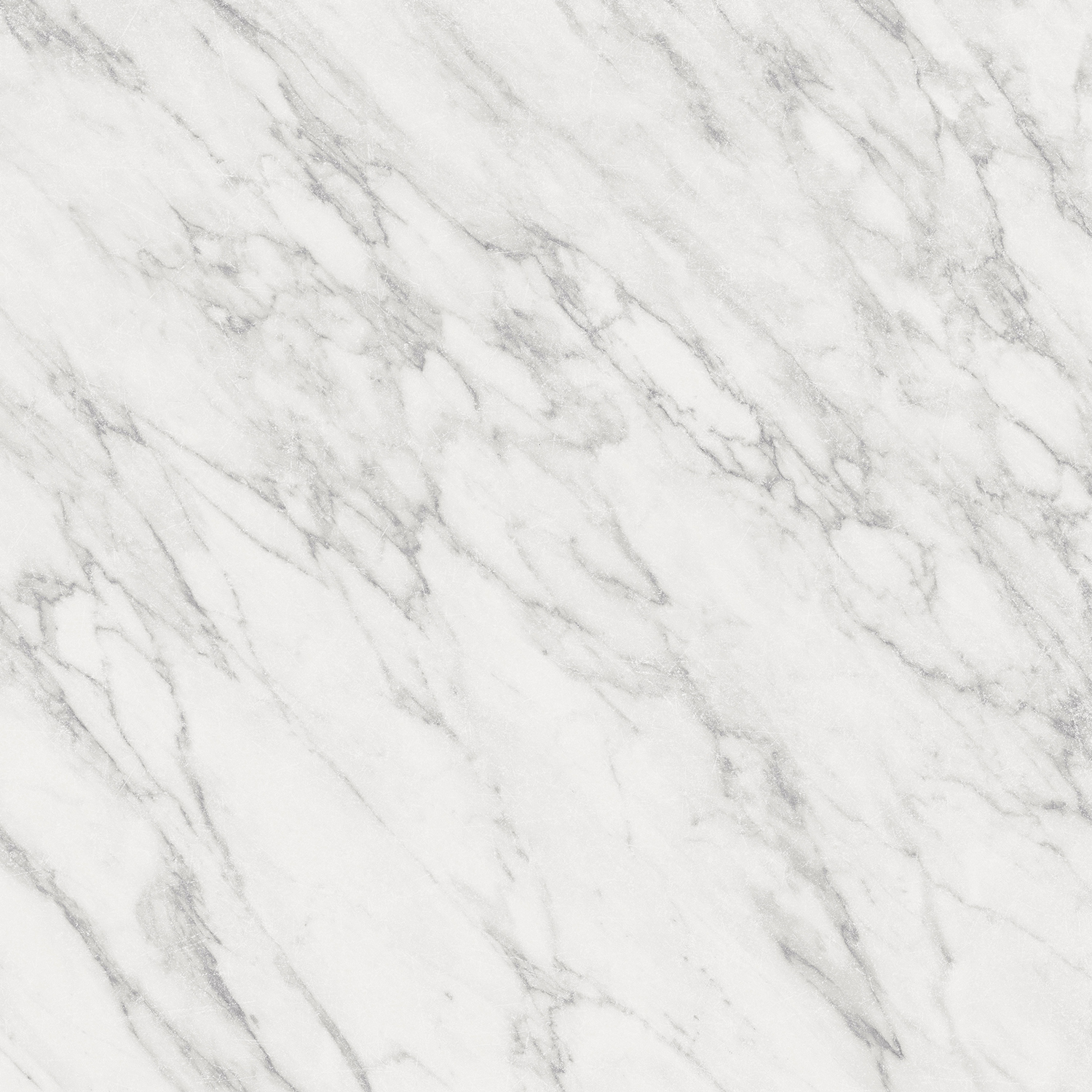 Domus - Tiles, Stone, Wood and Engineered Flooring